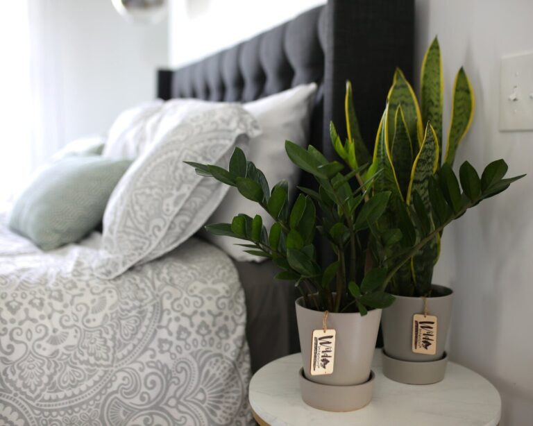 41 Stunning White Bedroom Ideas with Plants for All Budgets